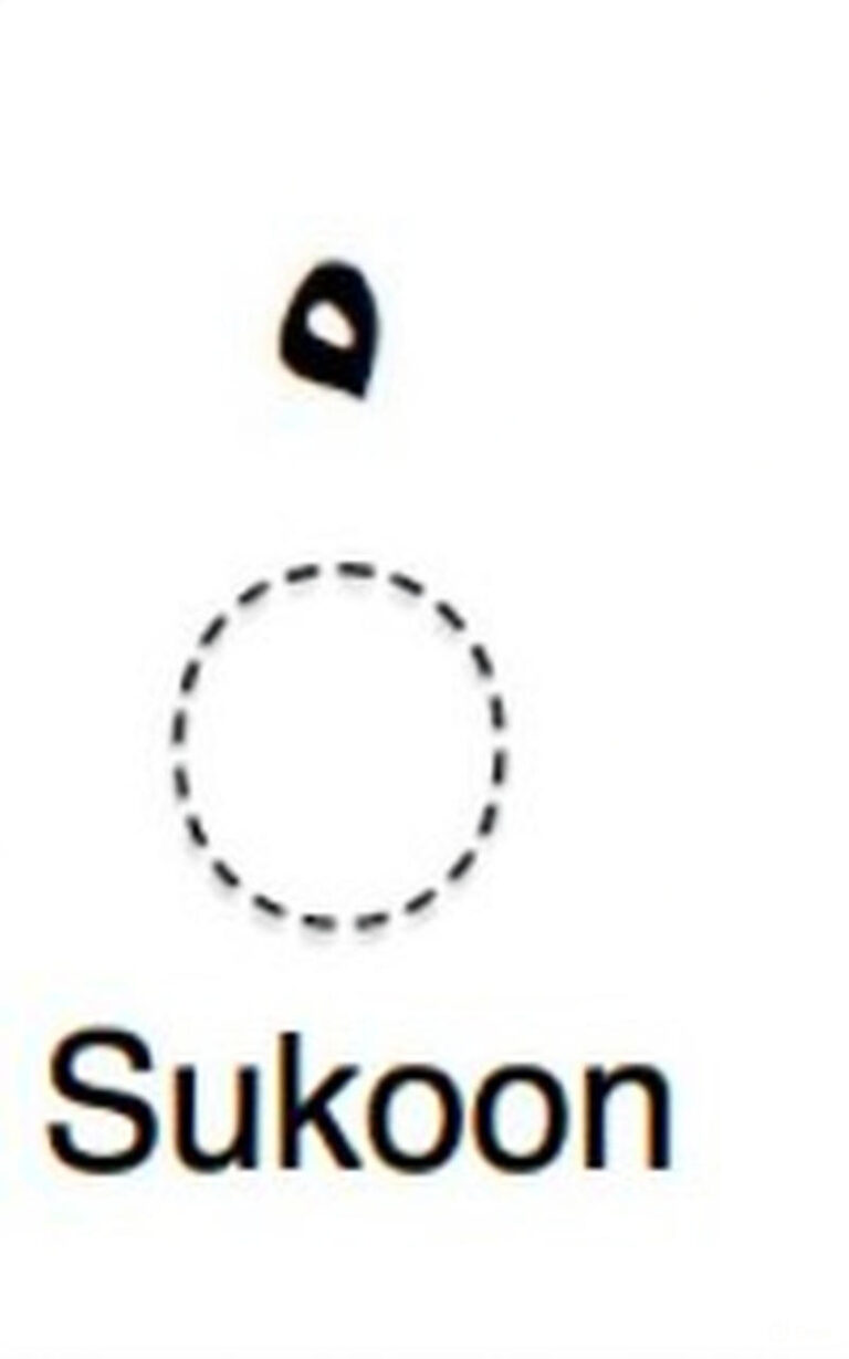 Arabic Harakat for Beginners: 7 Tips to Perfect Pronunciation